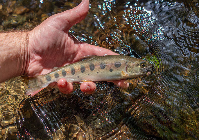 You Are Lucky Men: A Day of Tenkara Fishing in Japan | Loon Outdoors