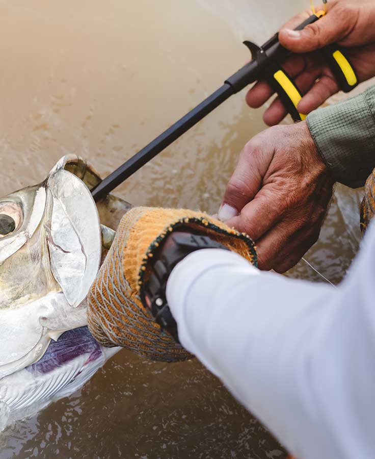 Apex Hook Remover | Loon Outdoors